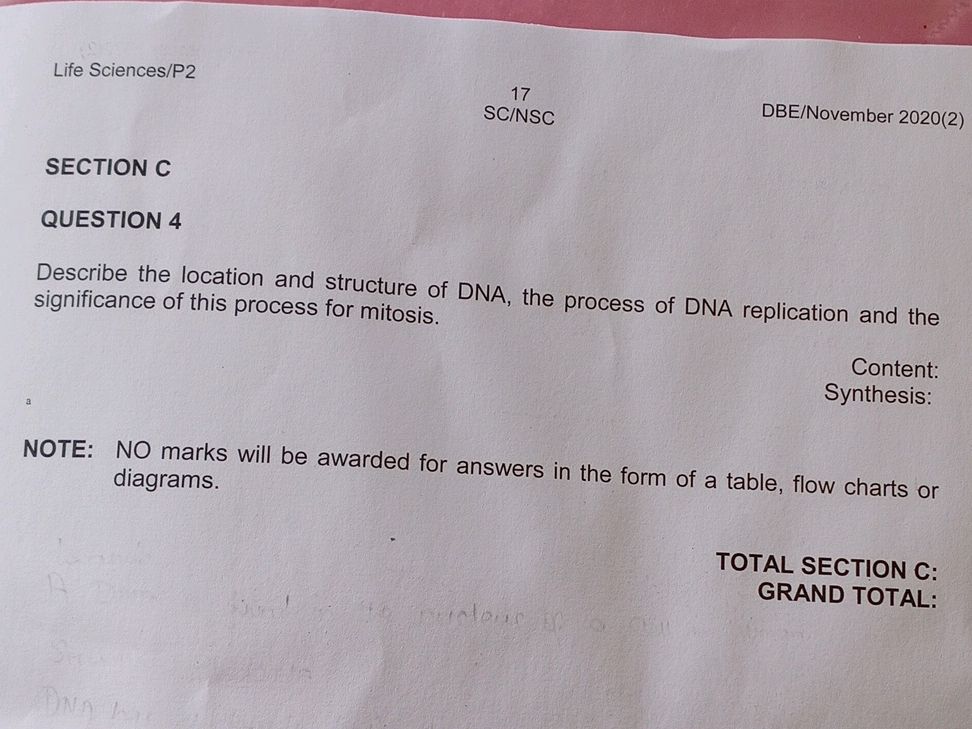 Describe the location and structure of DNA, | StudyX