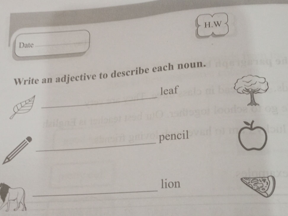 Write an adjective to describe each noun. | StudyX