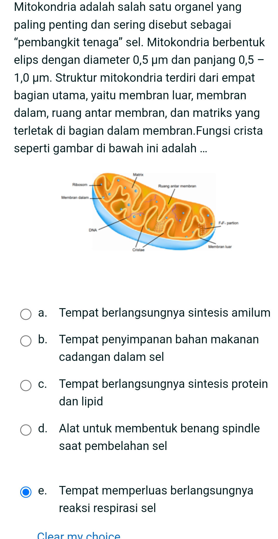 Mitokondria adalah salah satu organel yang | StudyX