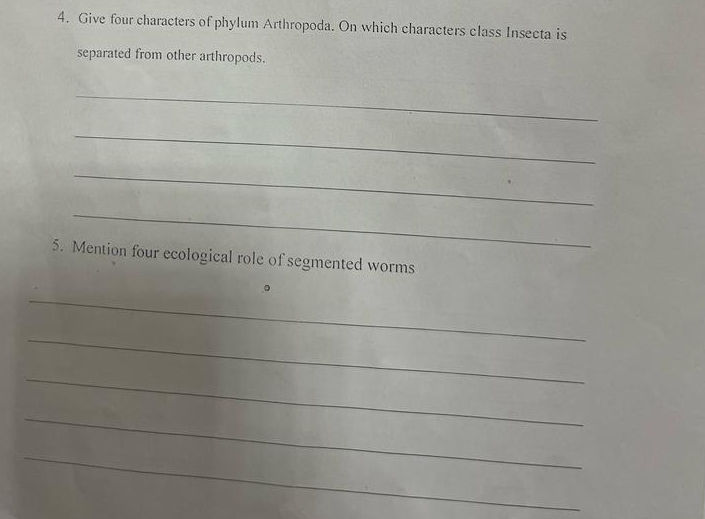 4. Give four characters of phylum | StudyX