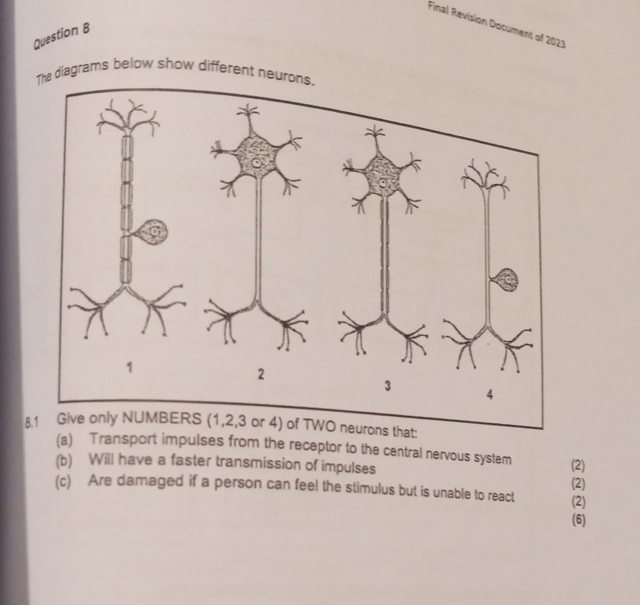 Question 8 The diagrams below show different | StudyX