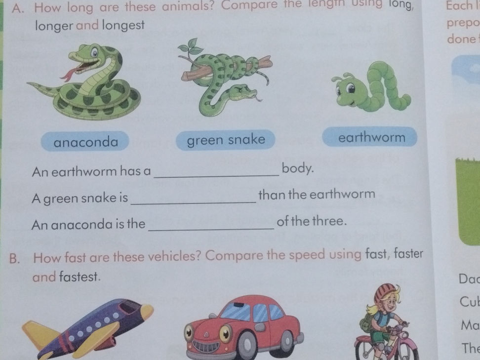 A. How long are these animals? Compare the | StudyX