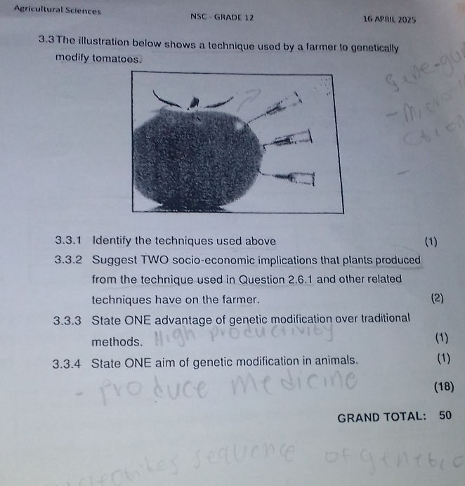 3.3 The illustration below shows a technique | StudyX
