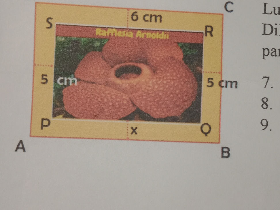 The image shows a rectangle with the | StudyX
