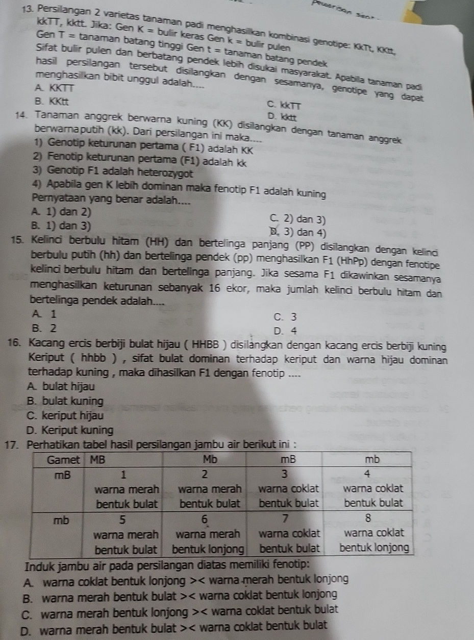 13. Persilangan 2 varietas tanaman padi | StudyX