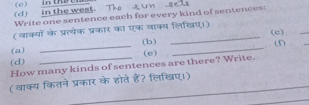 Write one sentence each for every kind of | StudyX