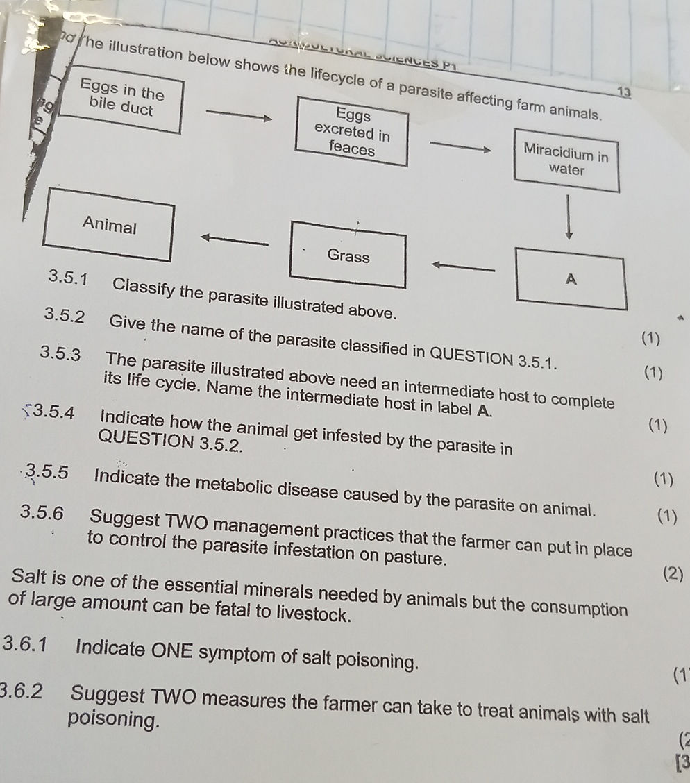 The illustration below shows the lifecycle | StudyX