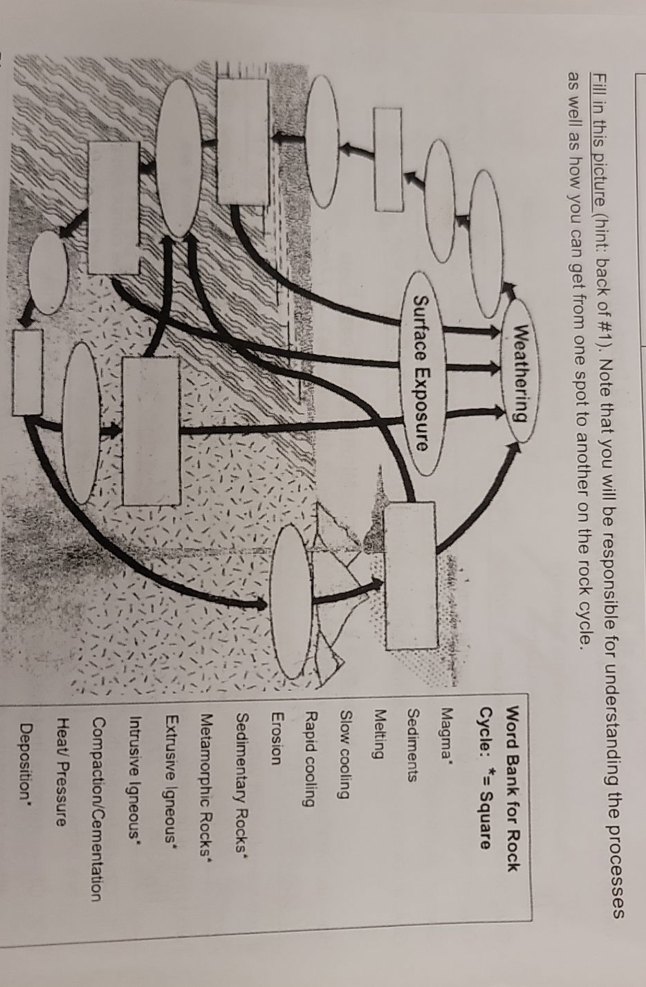 Fill in this picture (hint: back of #1). | StudyX