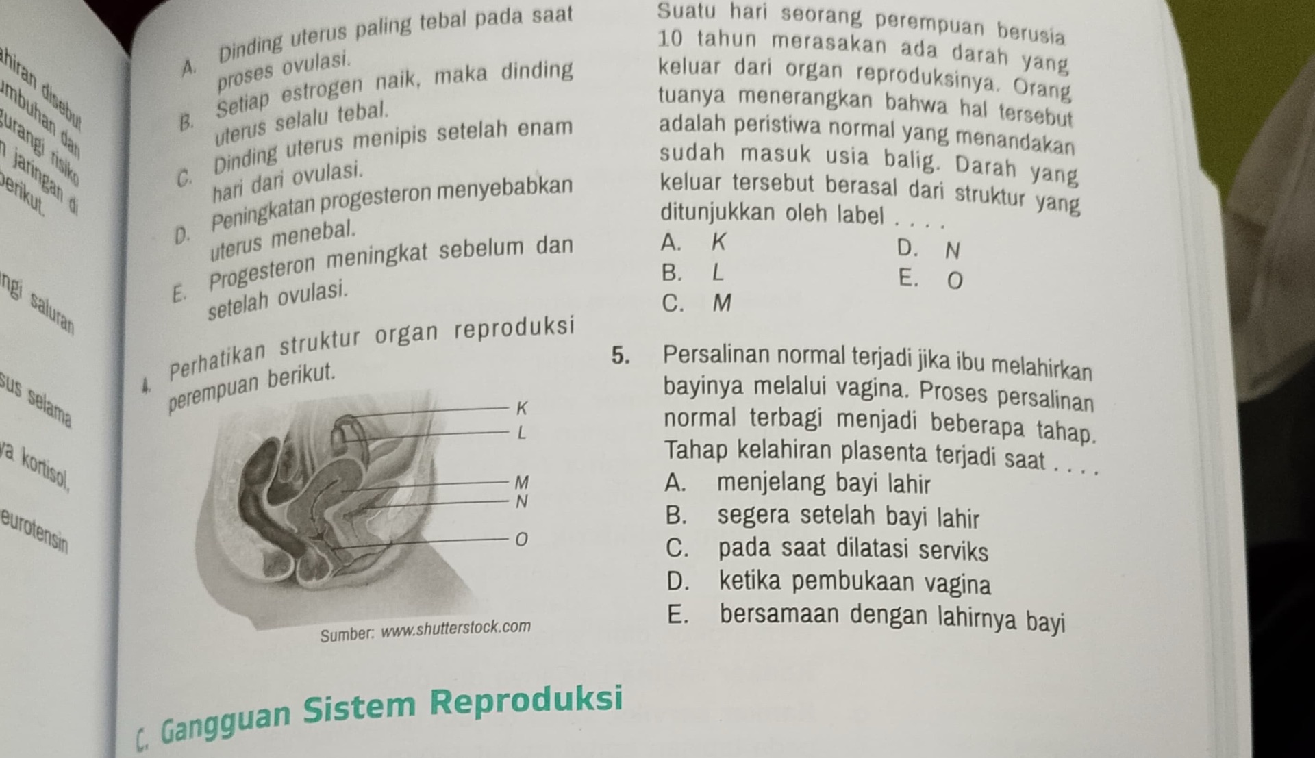 4. Perhatikan struktur organ reproduksi | StudyX