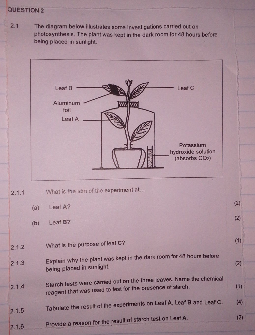 2.1 The diagram below illustrates some | StudyX