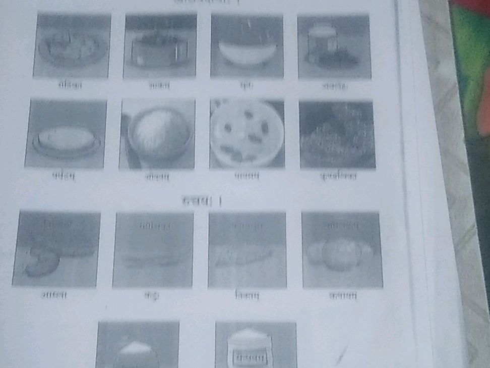 The image contains various pictures of food | StudyX