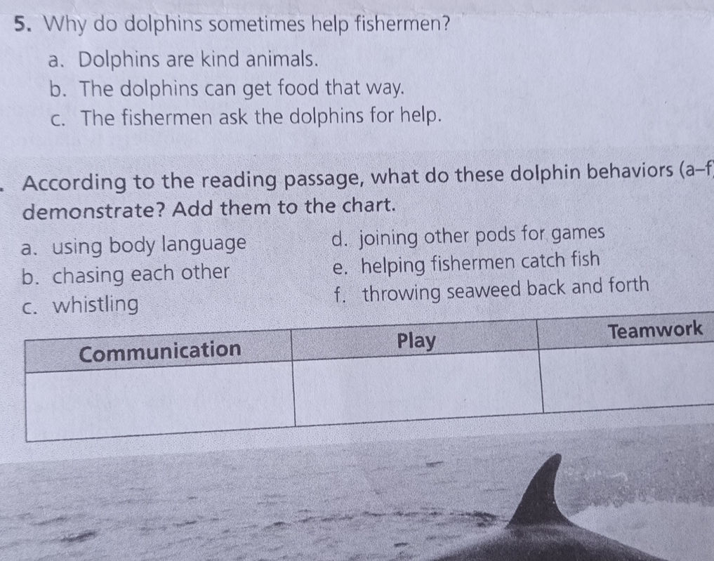 5. Why do dolphins sometimes help fishermen? | StudyX