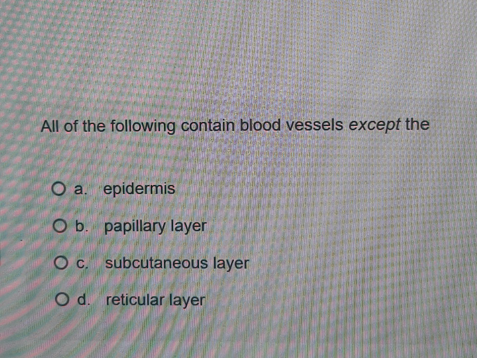 All of the following contain blood vessels