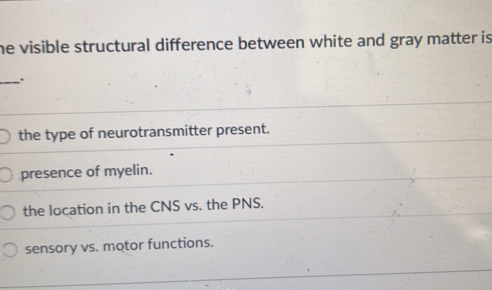 The visible structural difference between | StudyX