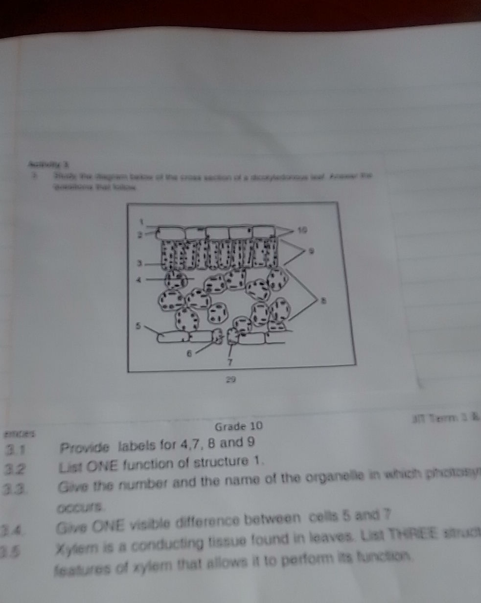 3. Study the diagram below of the cross | StudyX