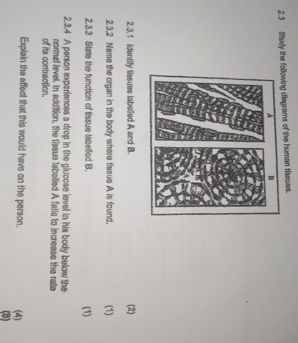 2.3 Study the following diagrams of the | StudyX