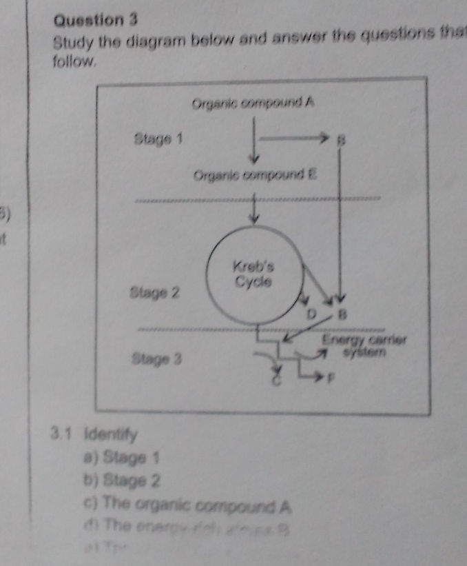 Question 3 Study the diagram below and | StudyX
