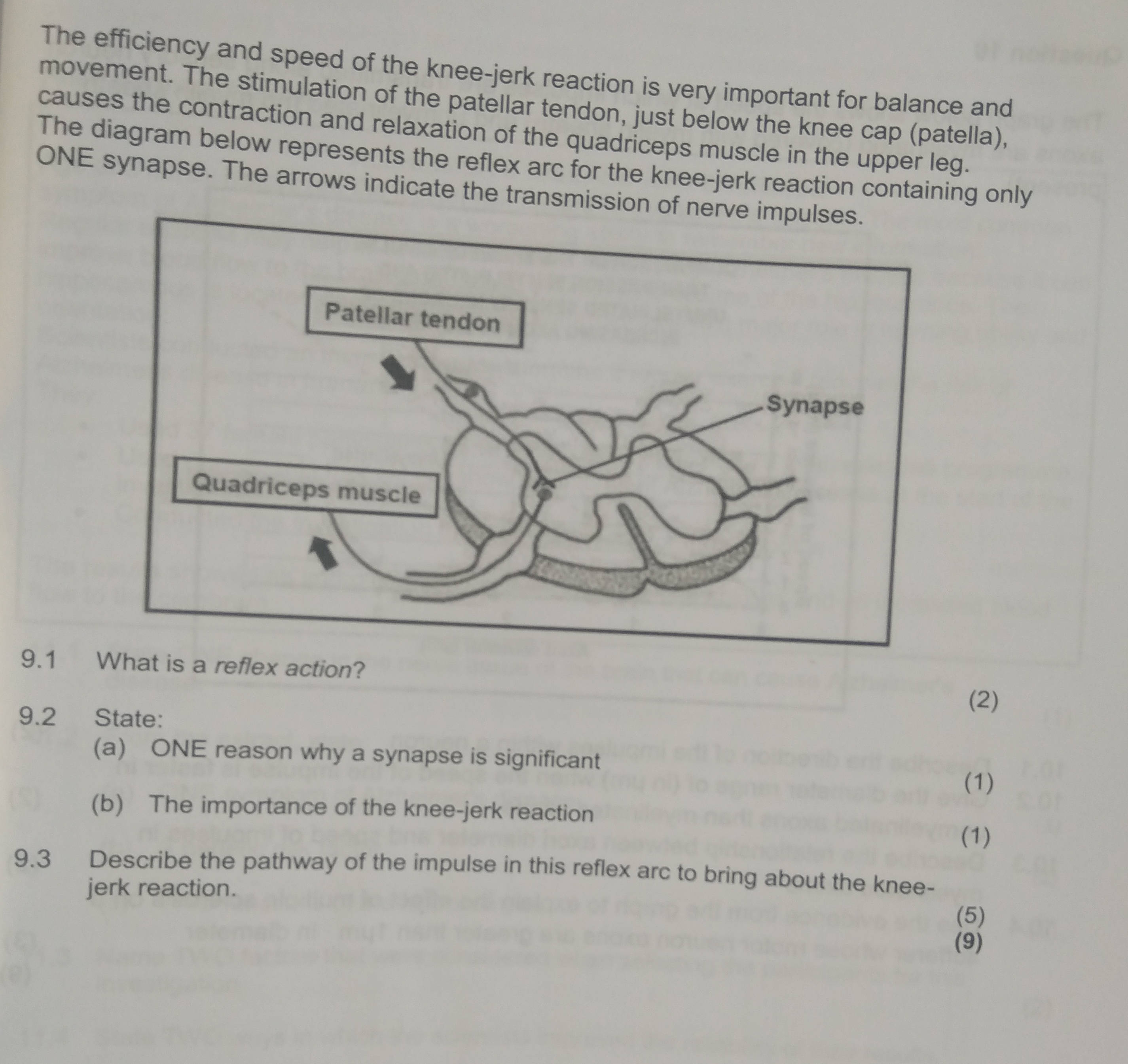 9.1 What is a reflex action? 9.2 State: (a) | StudyX