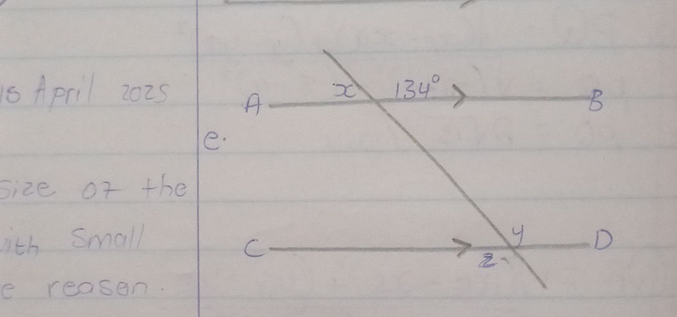 Find the size of the angles x, y, and z. | StudyX