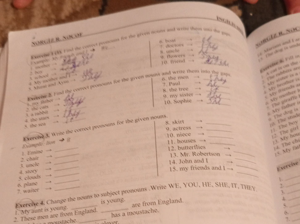 Exercise 1. Find the correct pronouns for | StudyX