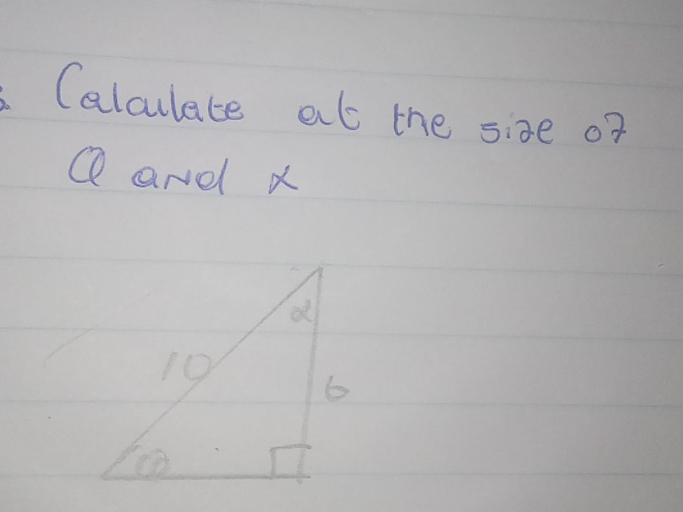 Calculate the size of \( \) and \(x\). \( | StudyX