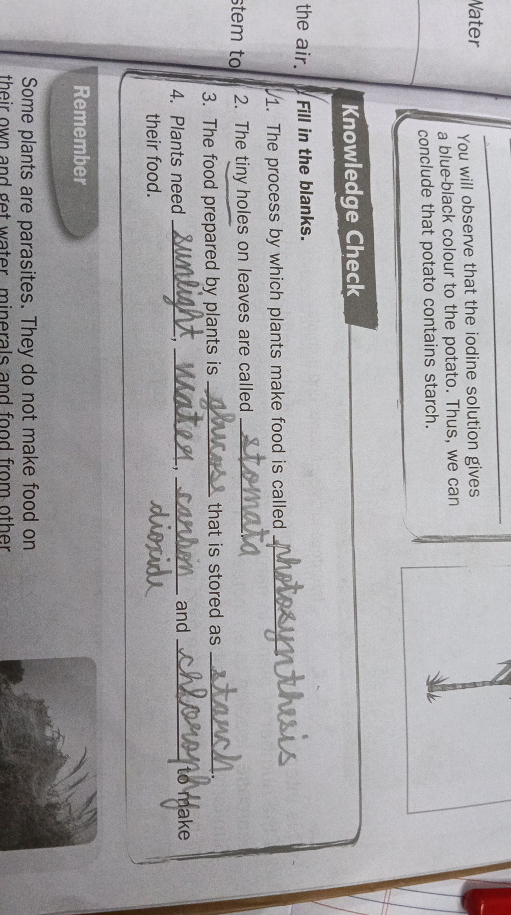 Fill in the blanks. 1. The process by which | StudyX