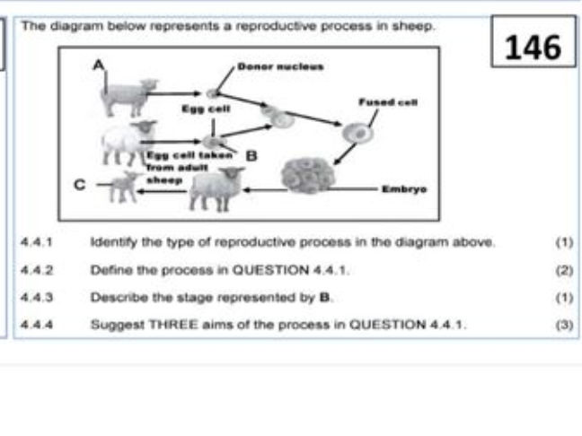 The diagram below represents a reproductive | StudyX