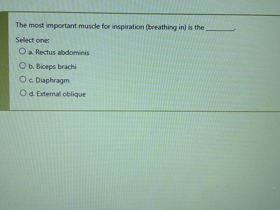 The most important muscle for inspiration | StudyX