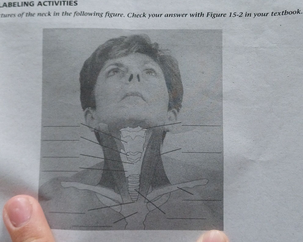 LABELING ACTIVITIES tures of the neck in | StudyX