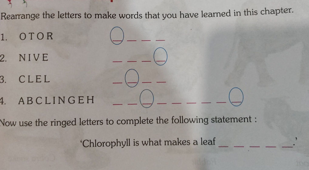 Rearrange the letters to make words that you | StudyX