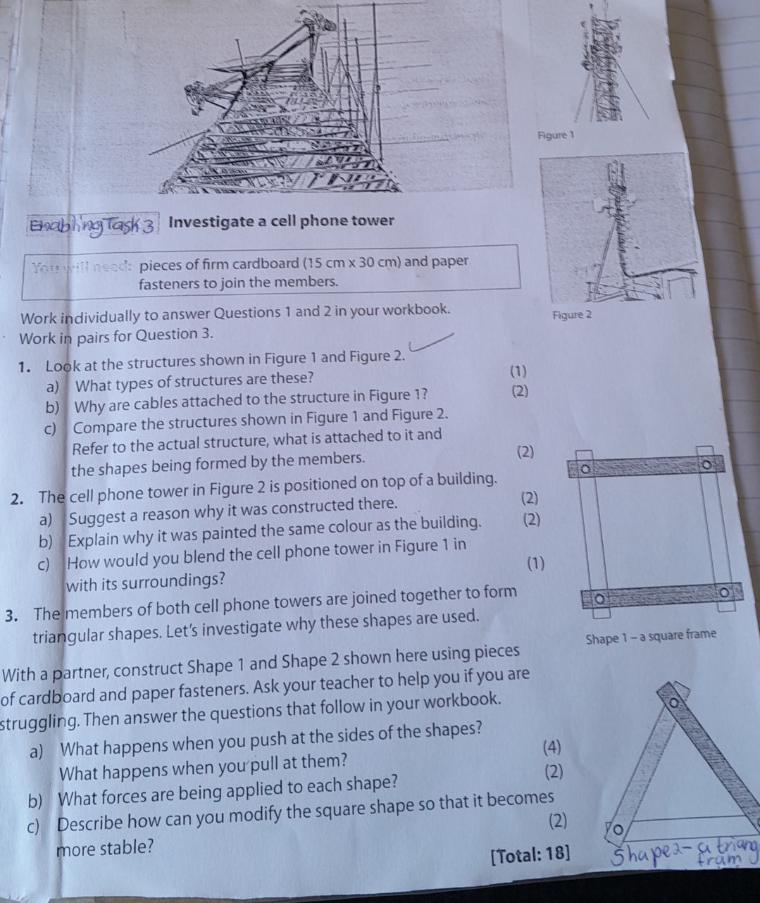 1. Look at the structures shown in Figure 1 | StudyX