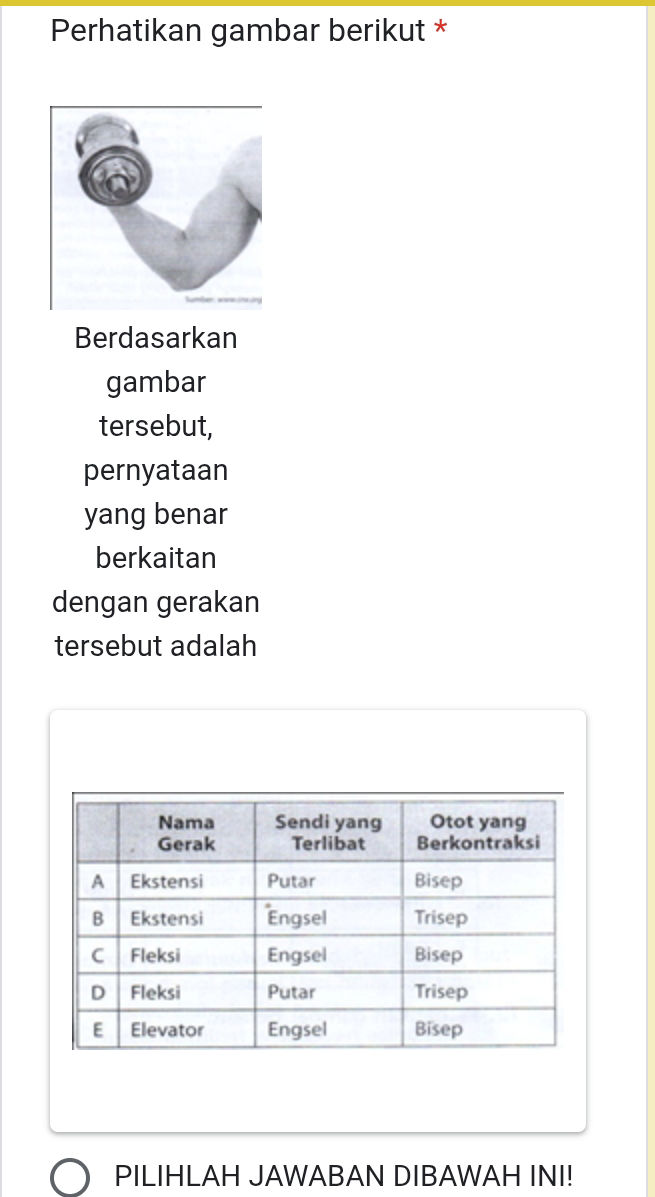 Perhatikan gambar berikut * Berdasarkan | StudyX Perhatikan gambar berikut * Berdasarkan | StudyX