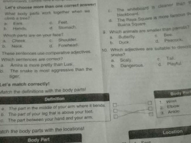 Let's choose more than one correct answer! | StudyX
