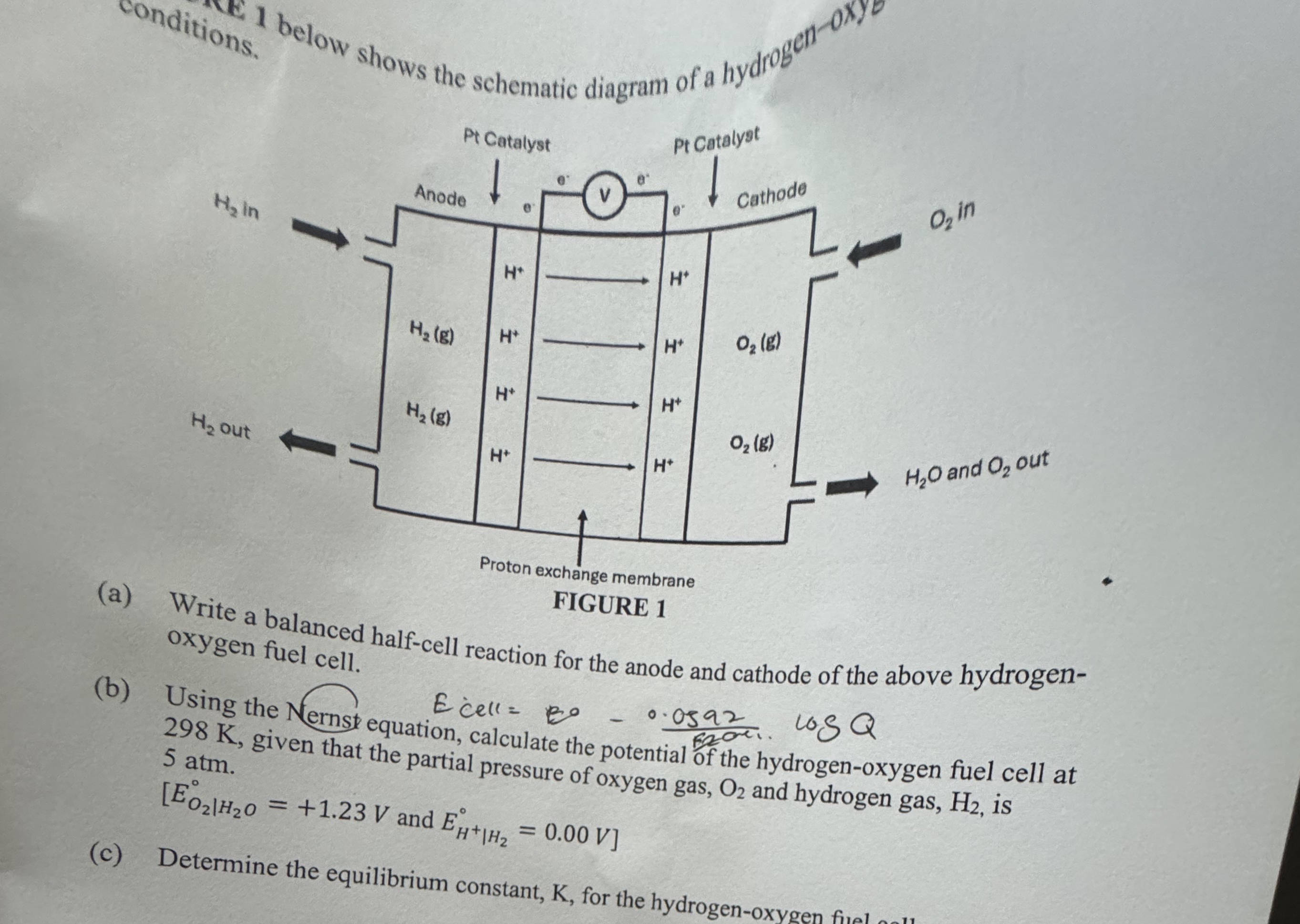 (a) Write a balanced half-cell reaction for | StudyX