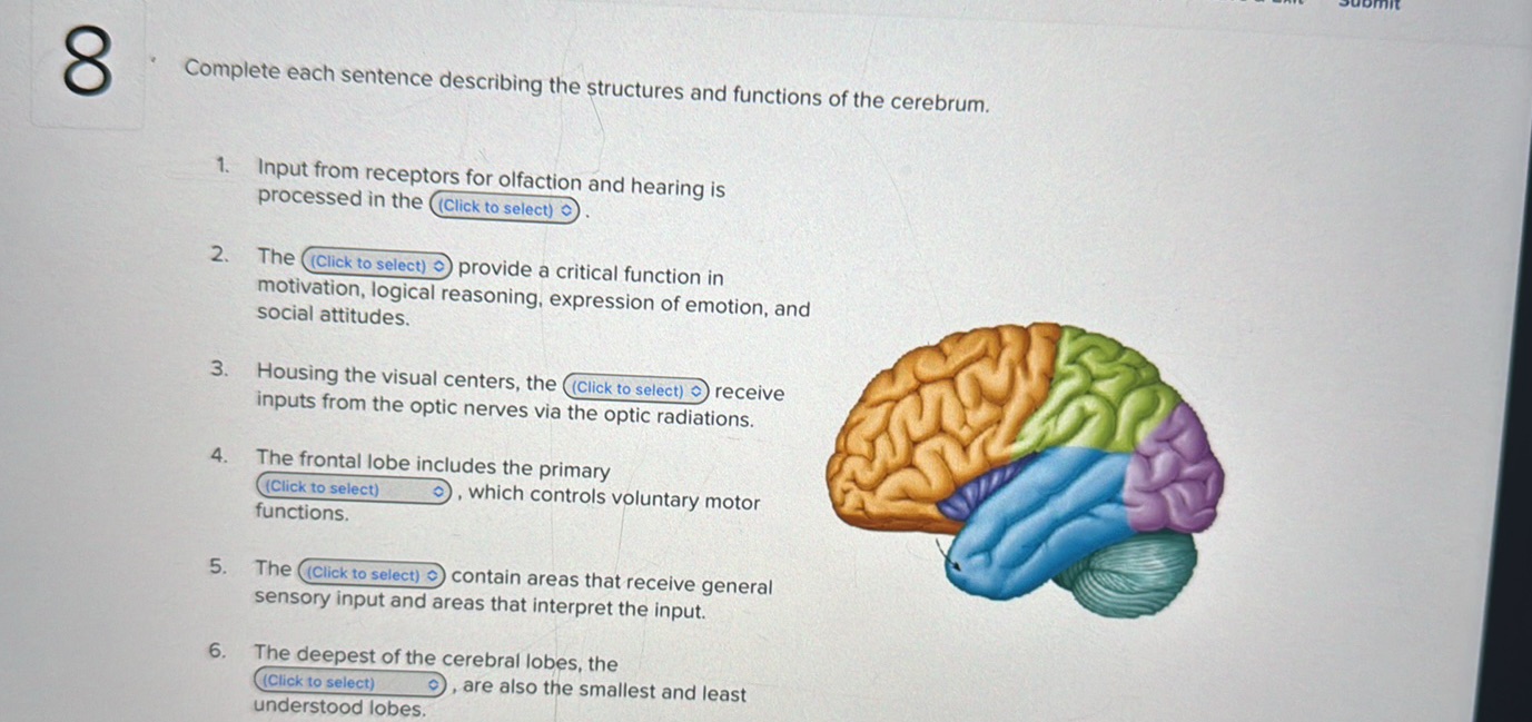 8 Complete each sentence describing the | StudyX