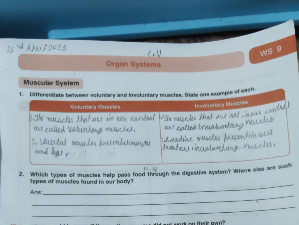 1. Differentiate between voluntary and | StudyX
