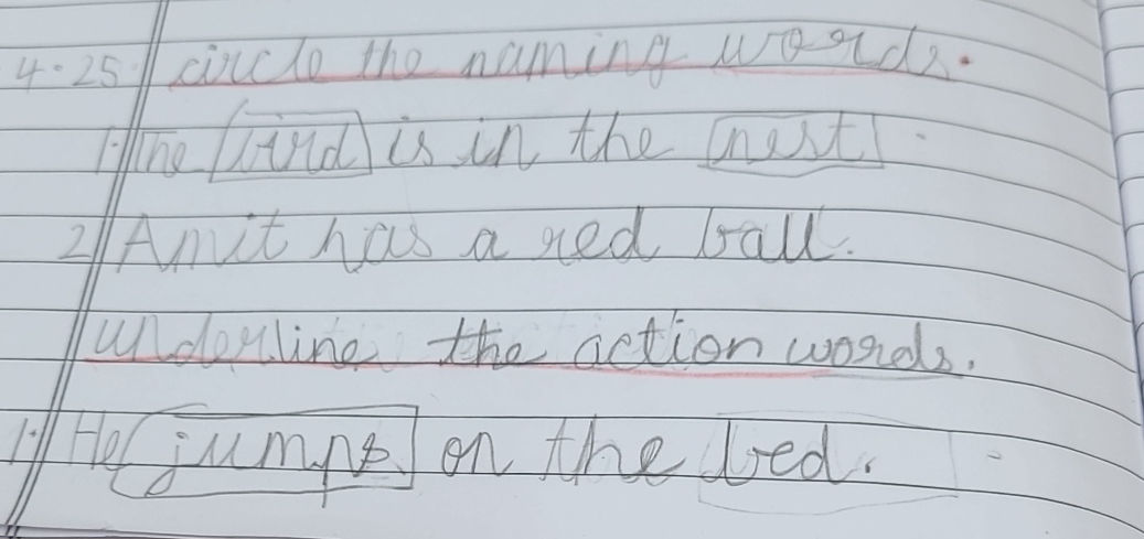 circle the naming words. The (bird) is in | StudyX