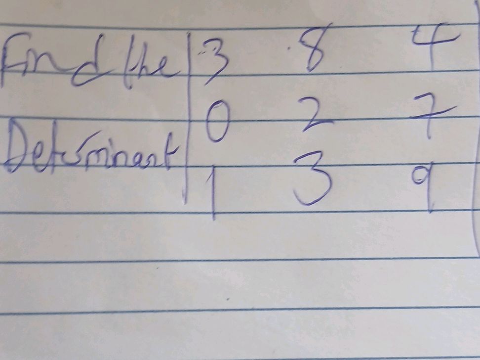 Find the determinant of the following | StudyX