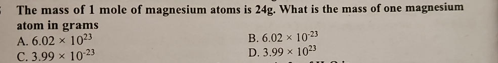 The mass of 1 mole of magnesium atoms is | StudyX