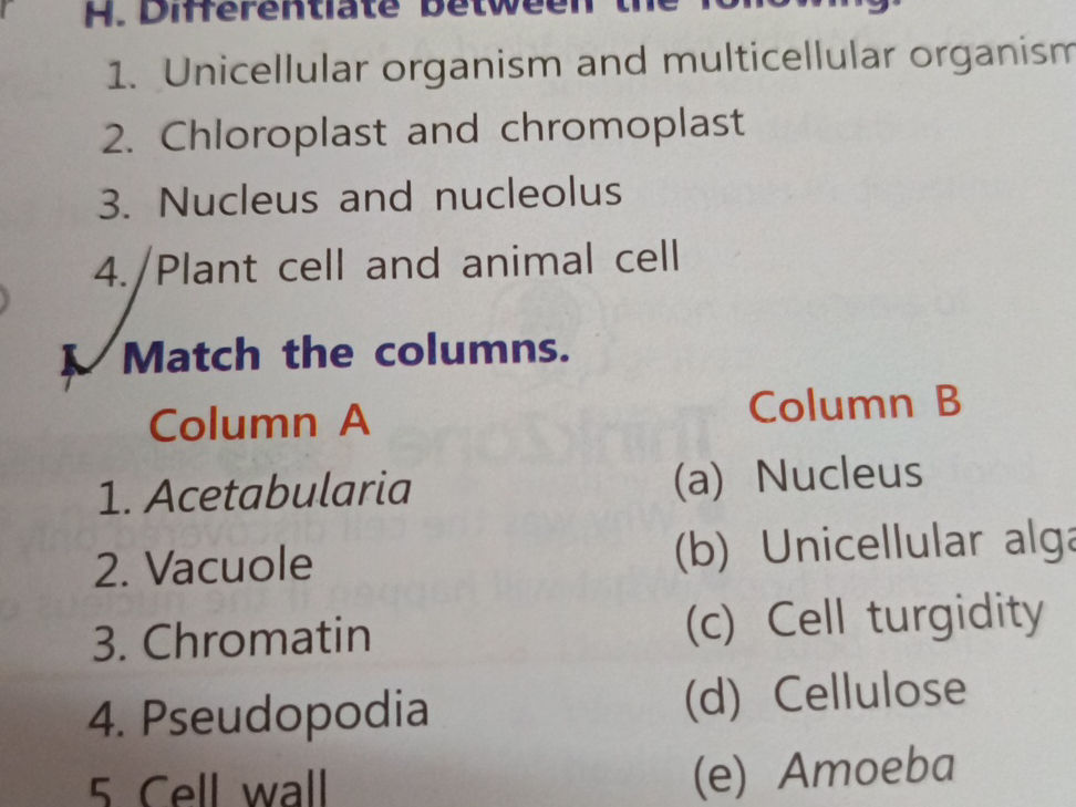 Match the columns. Column A | Column B | StudyX