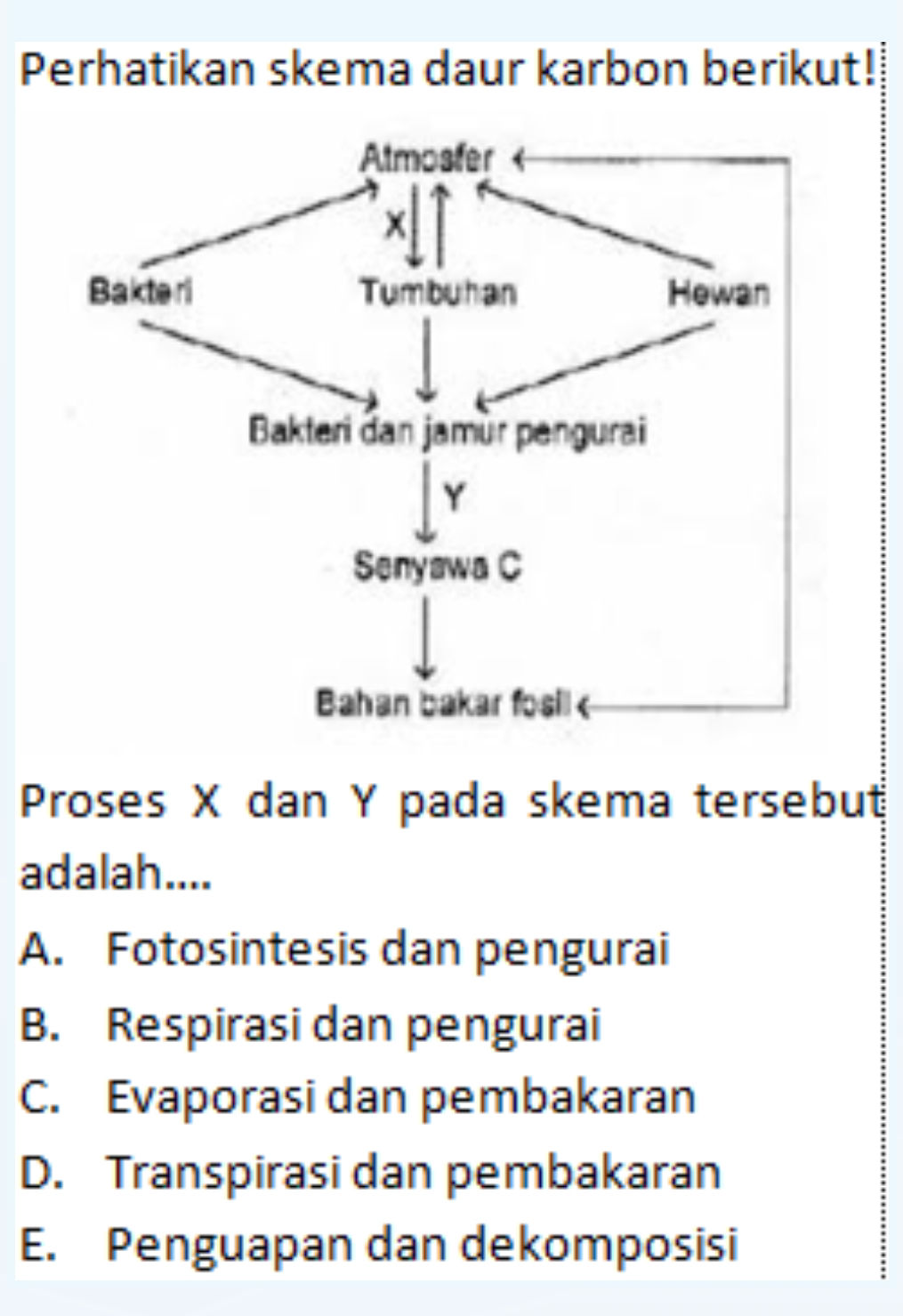 Perhatikan skema daur karbon berikut! | StudyX