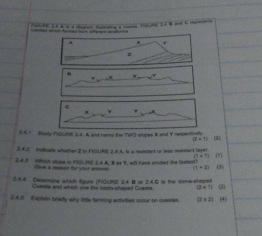 FIGURE 2.4 A is a diagram illustrating a | StudyX