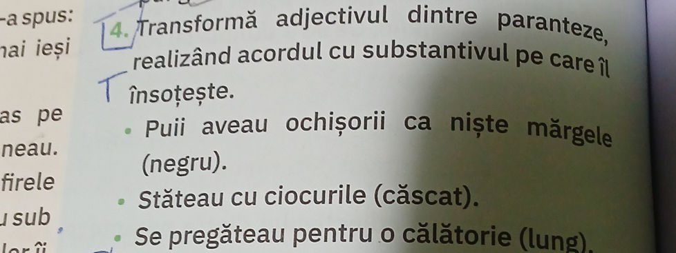 4. Transformă adjectivul dintre paranteze, | StudyX