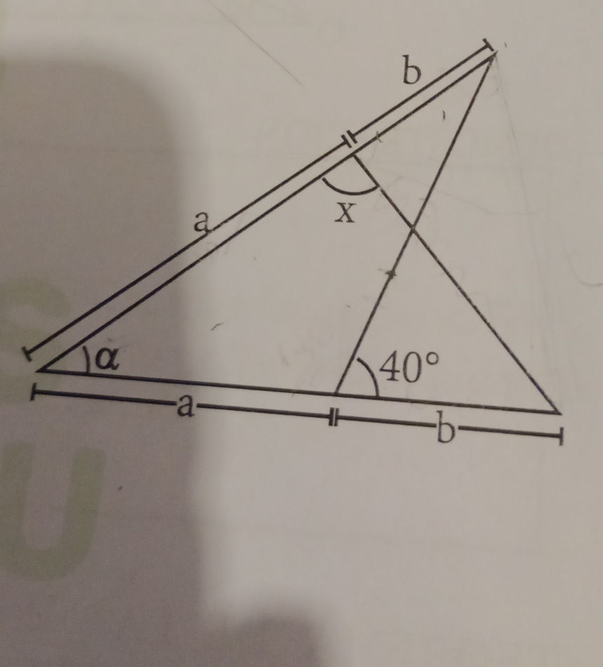 Find the value of angle x in the given | StudyX
