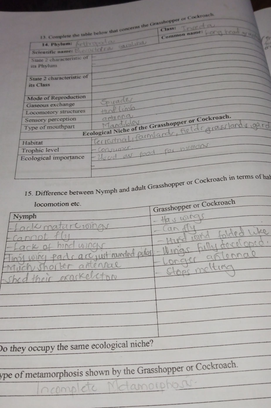 13. Complete the table below that concerns | StudyX