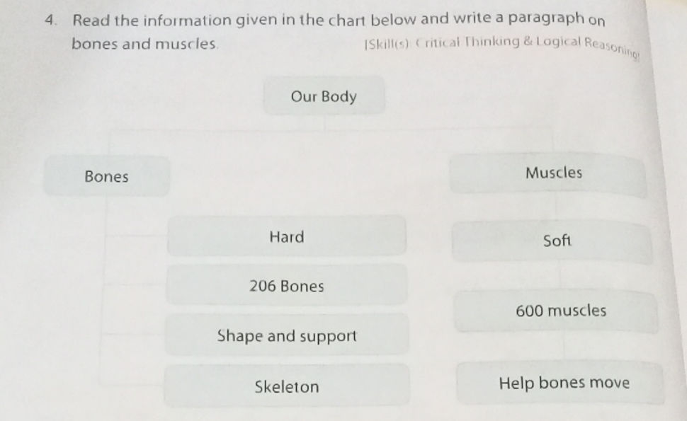 4. Read the information given in the chart | StudyX