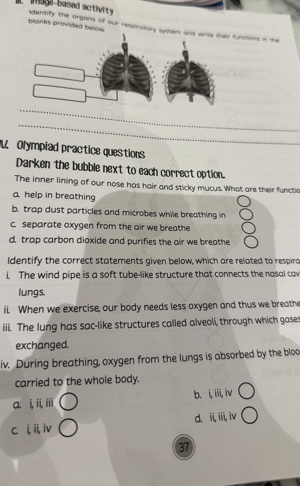 Identify the organs of our respiratory | StudyX