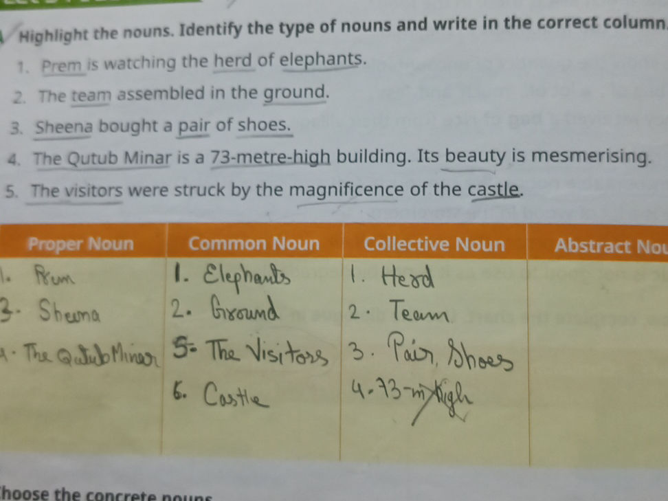 Highlight the nouns. Identify the type of | StudyX