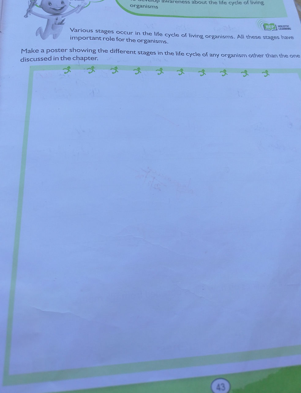 Make a poster showing the different stages | StudyX