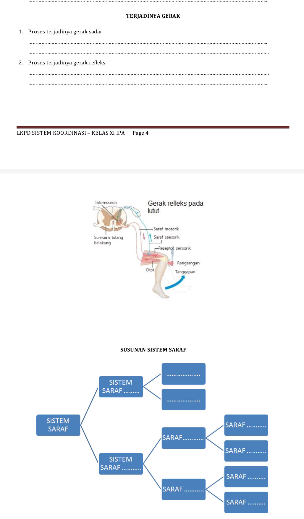 1. Proses terjadinya gerak sadar 2. Proses | StudyX